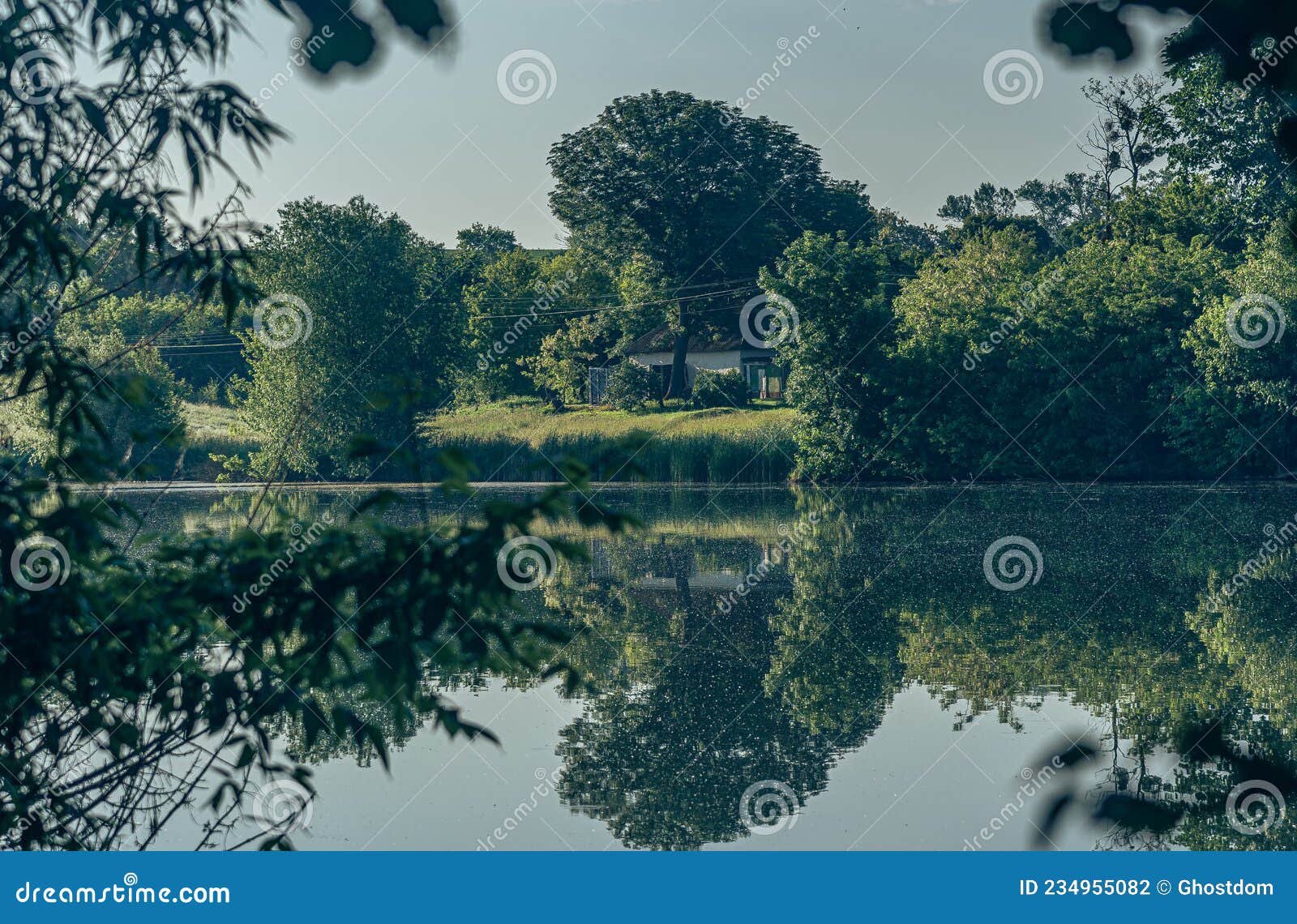 Spring nature beauty stock photo. Image of grass, beauty - 234955082