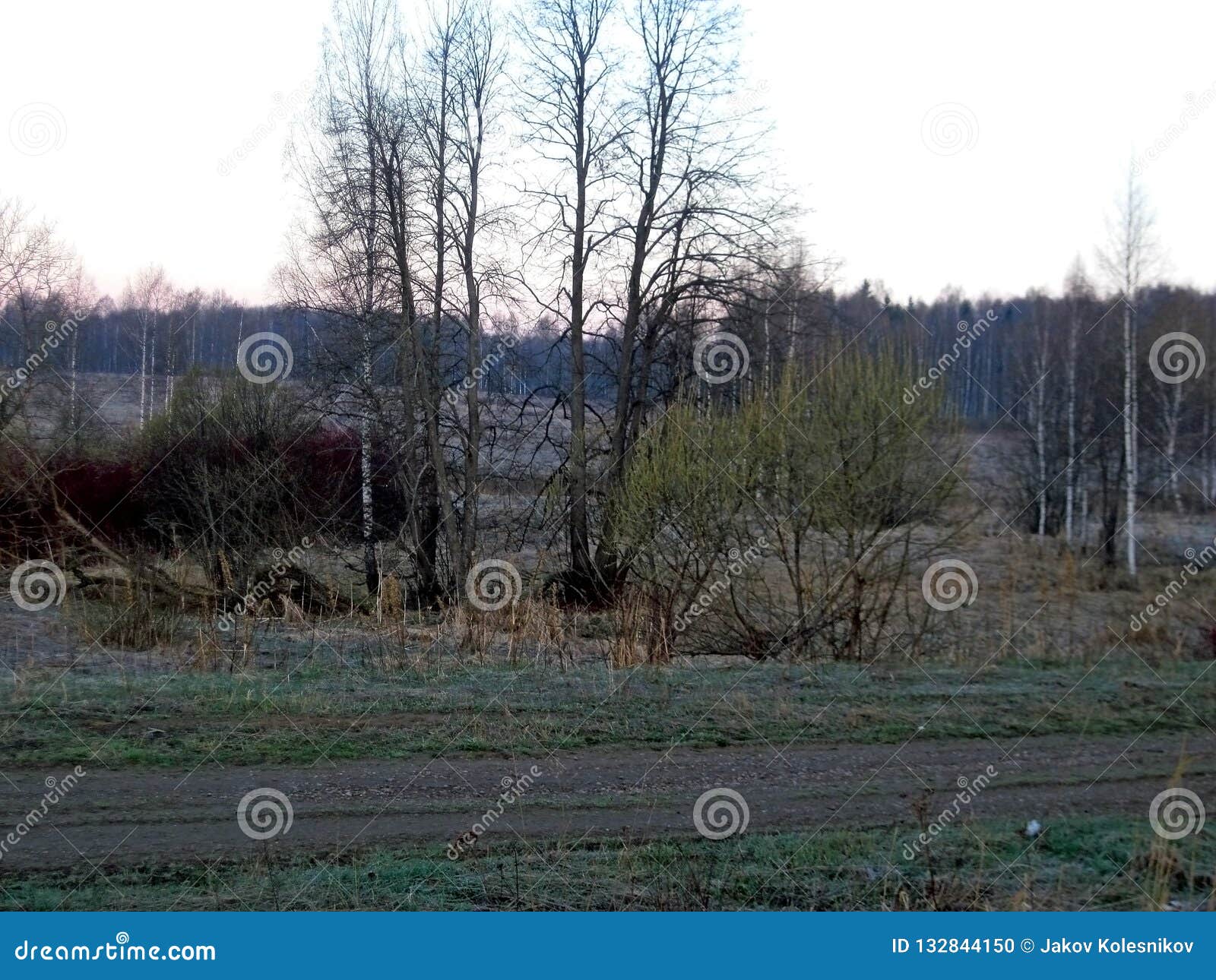 Spring Nature Cloudless, April Evening. Stock Photo - Image of european ...
