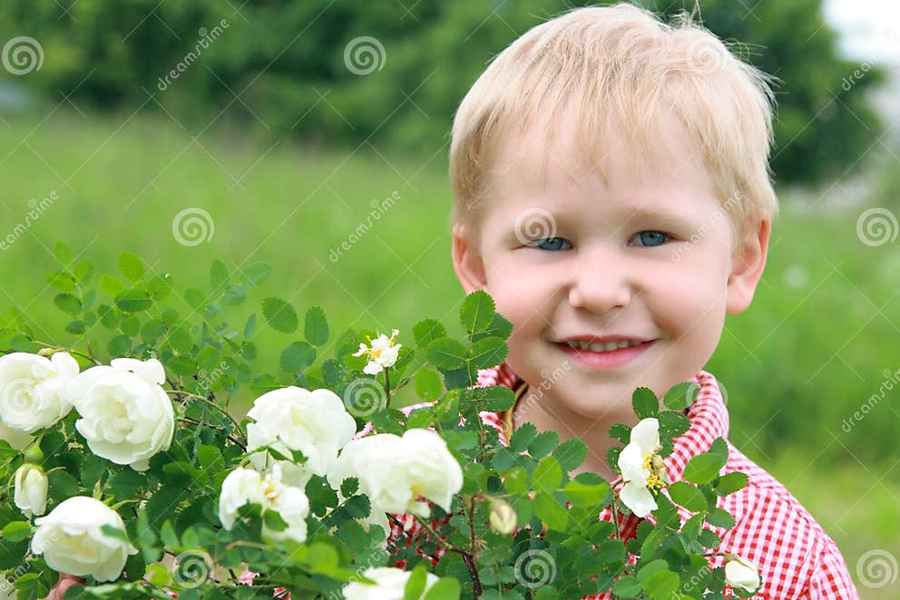 Spring in the Nature and Spring in the Soul. Stock Photo - Image of ...