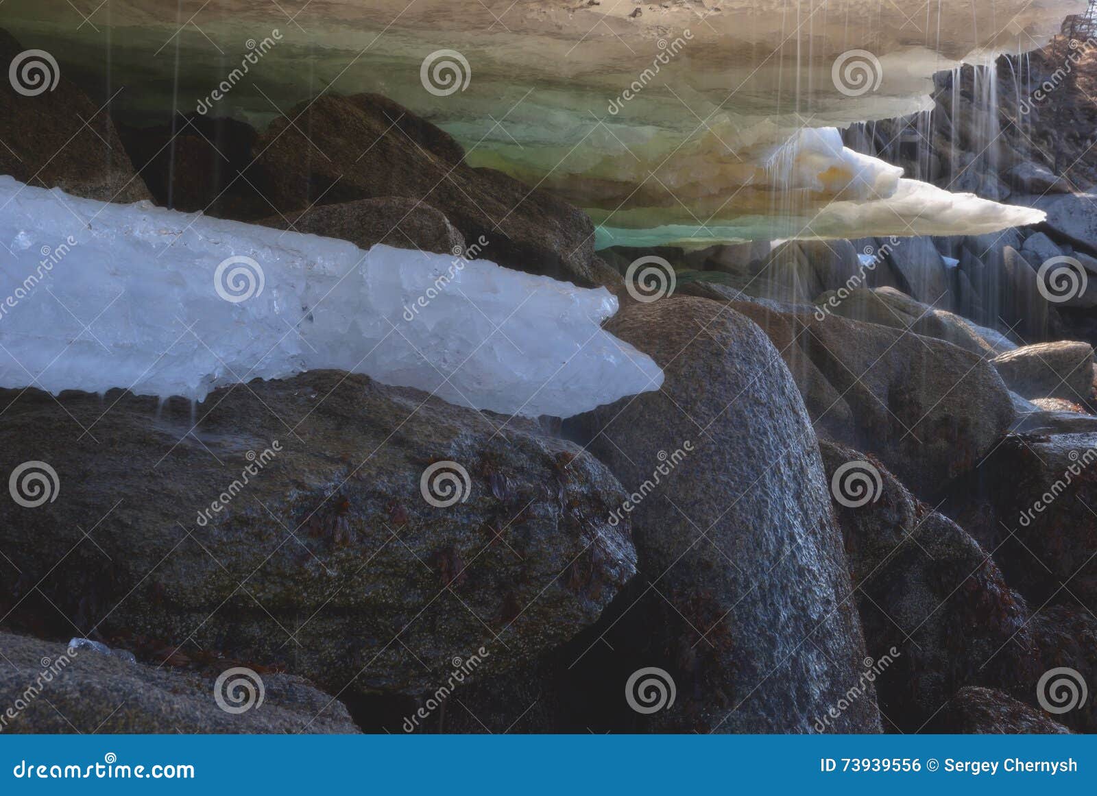 The spring nature. stock photo. Image of season, spring - 73939556