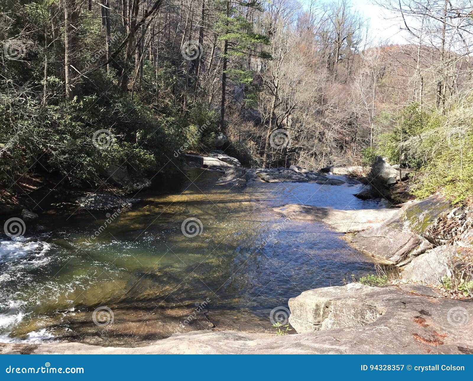 Spring in NC stock image. Image of tree, park, mountain - 94328357