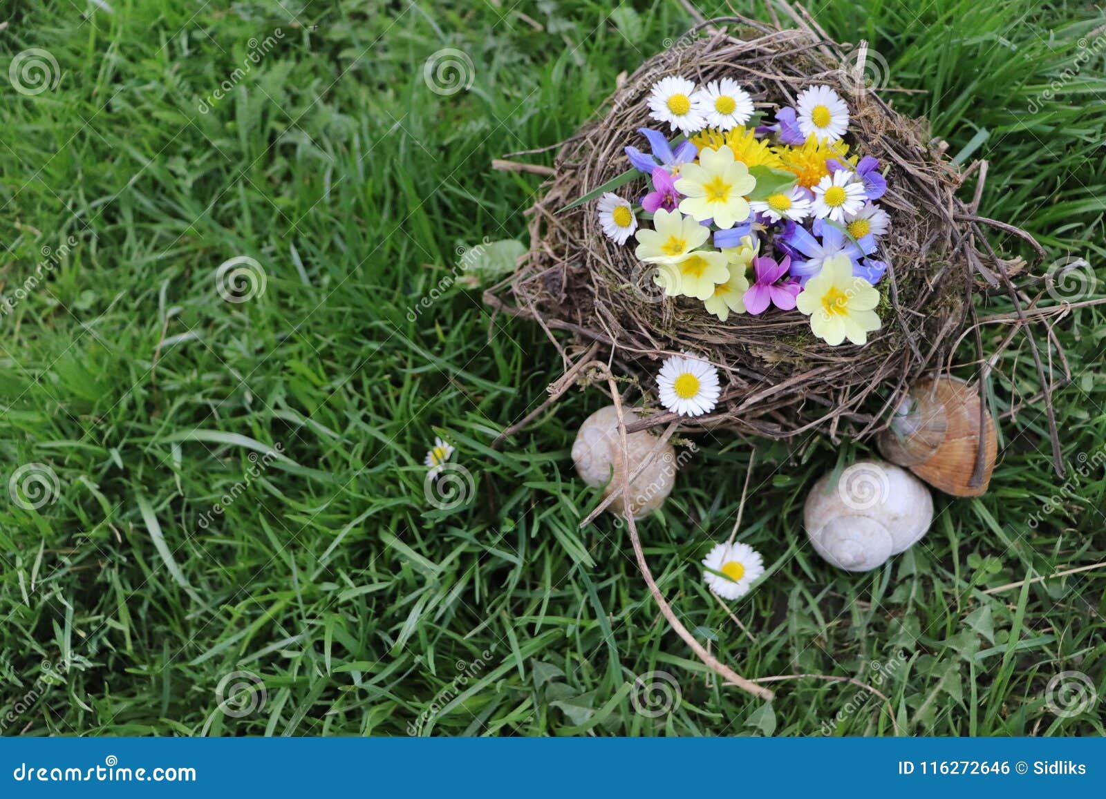 Spring nest with flowers stock photo. Image of blossom - 116272646