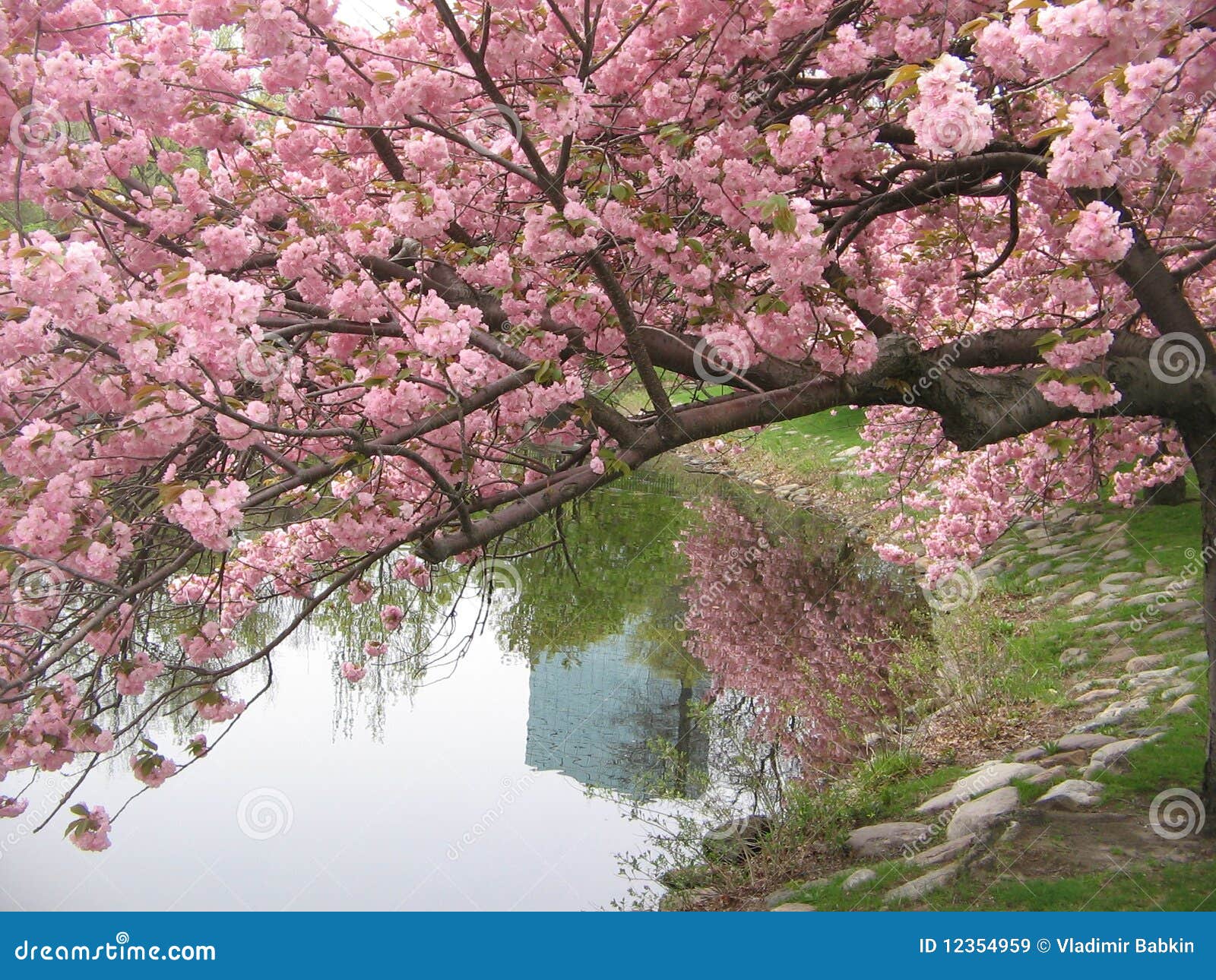 Spring in New England stock image. Image of spring, england - 12354959