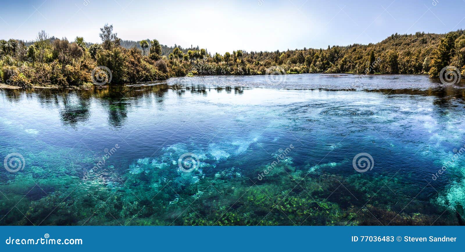 Spring - New Zealand stock image. Image of forest, cold - 77036483