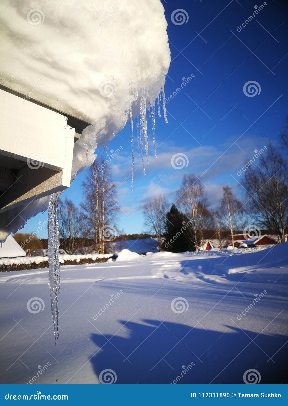 Spring in Sweden stock photo. Image of snow, wind, icicle - 112311890