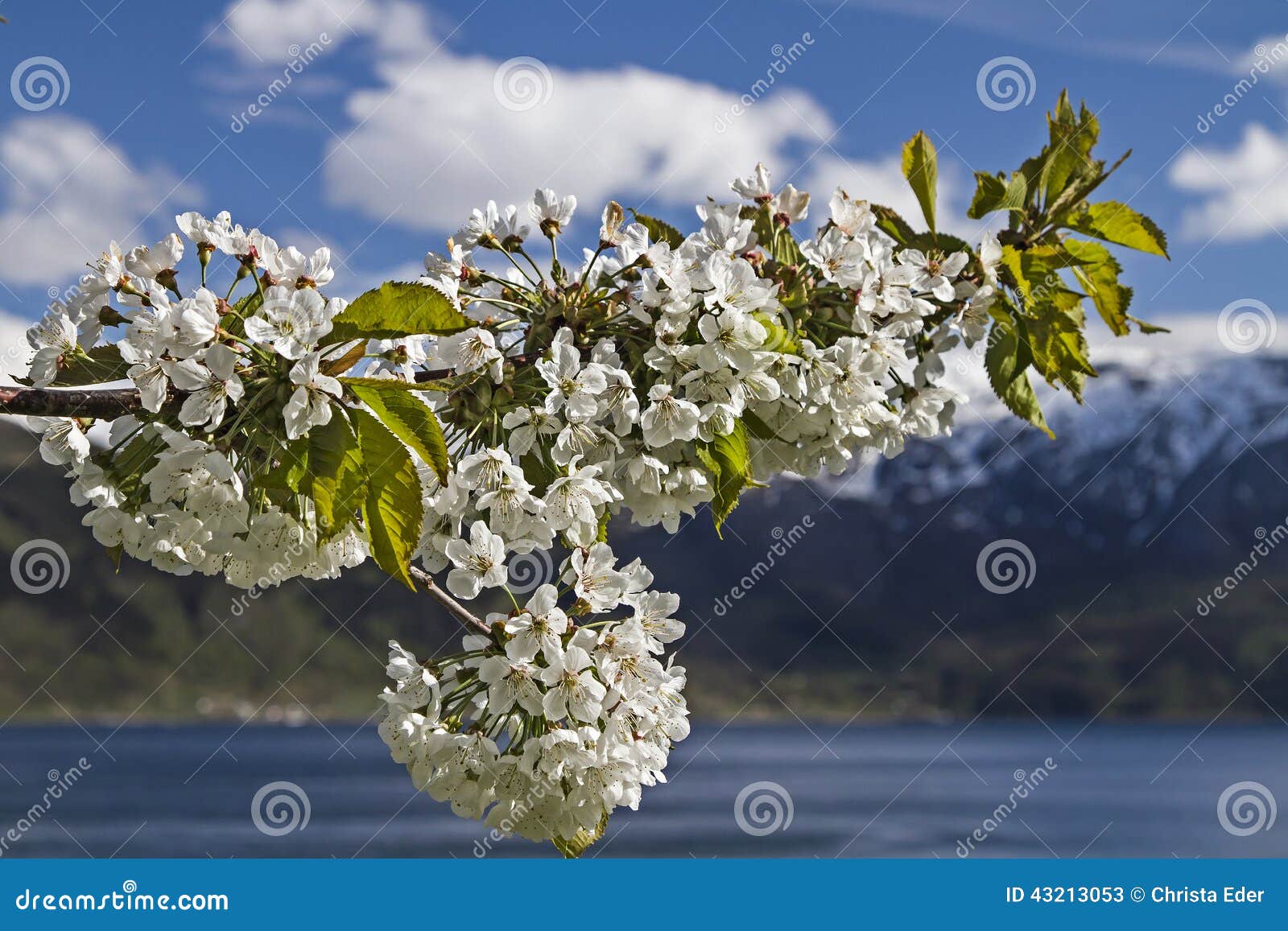 Spring in Norway stock image. Image of scandinavia, norway - 43213053