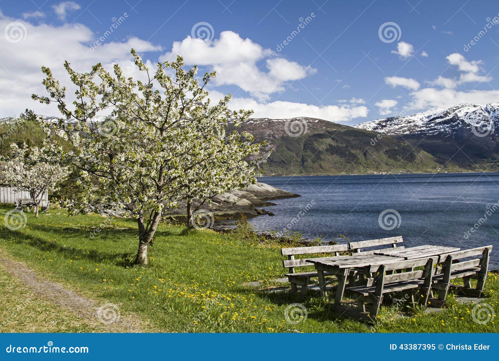 Spring in Norway stock image. Image of clouds, cherry - 43387395