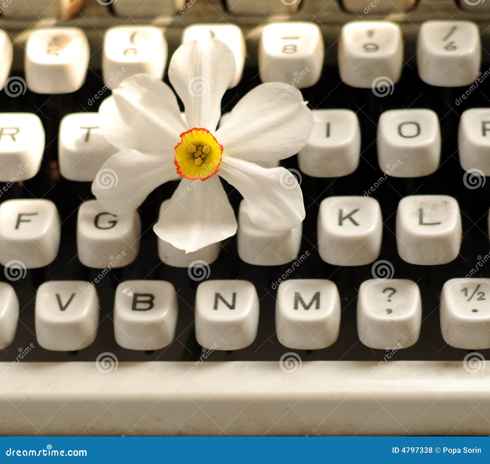 Spring in the office stock photo. Image of blooming, leaf - 4797338