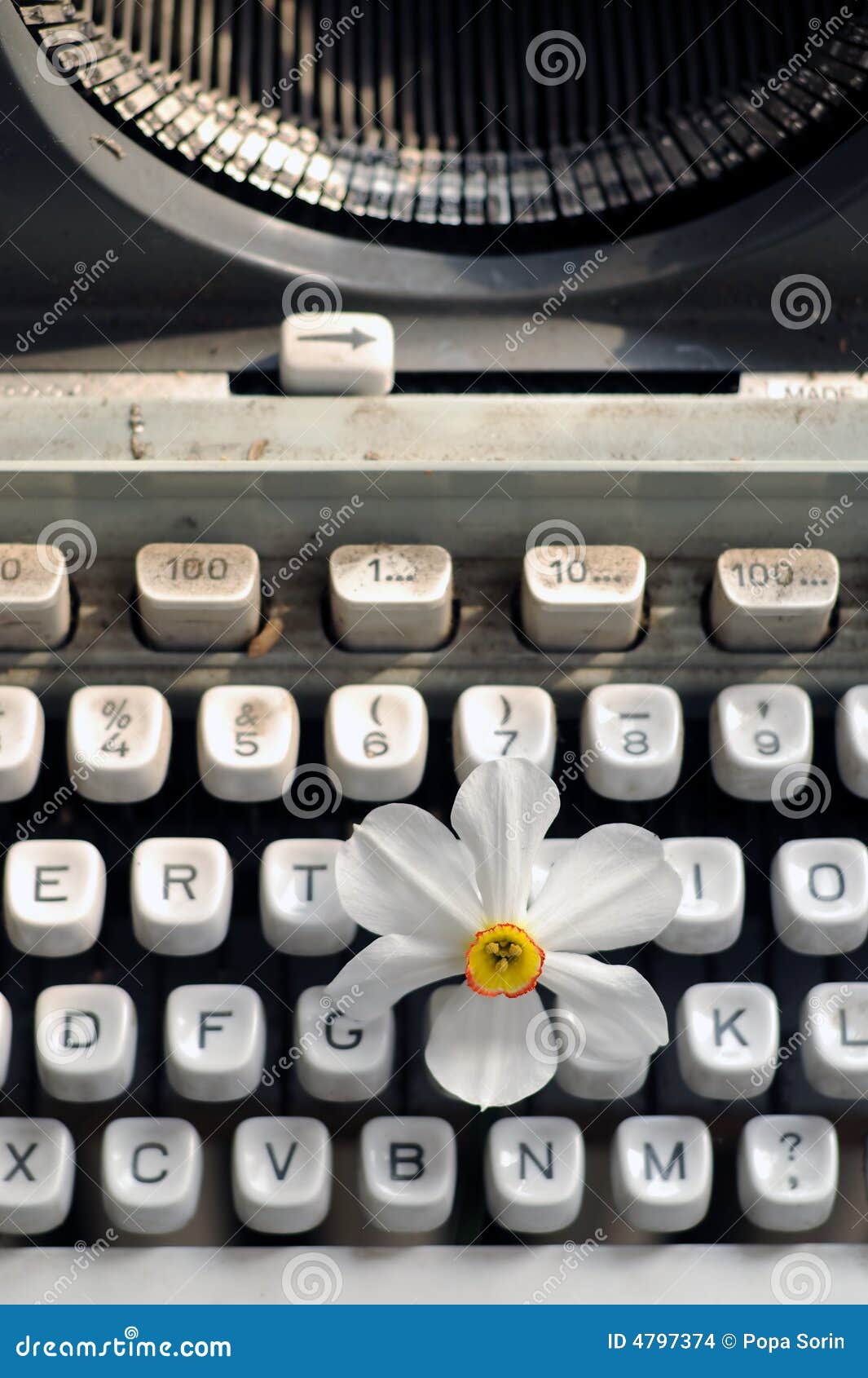 Spring in the office stock photo. Image of life, botanical - 4797374