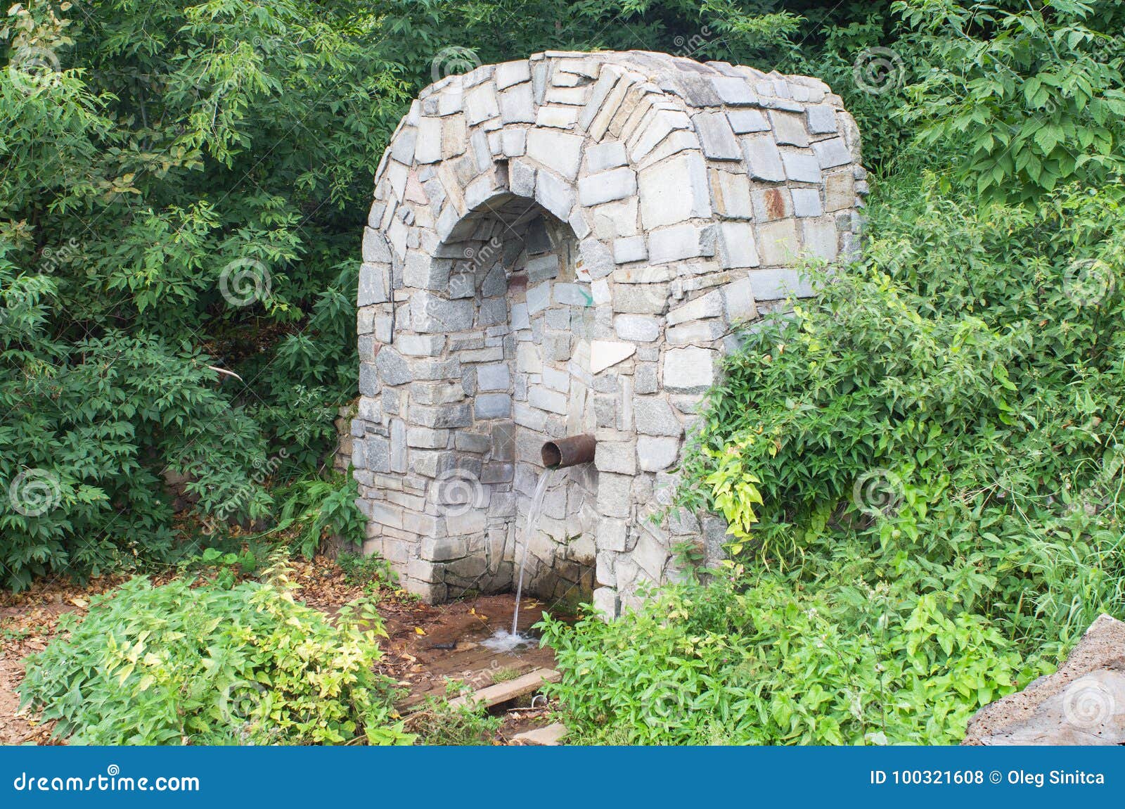 Spring in the old Park. stock photo. Image of thick - 100321608