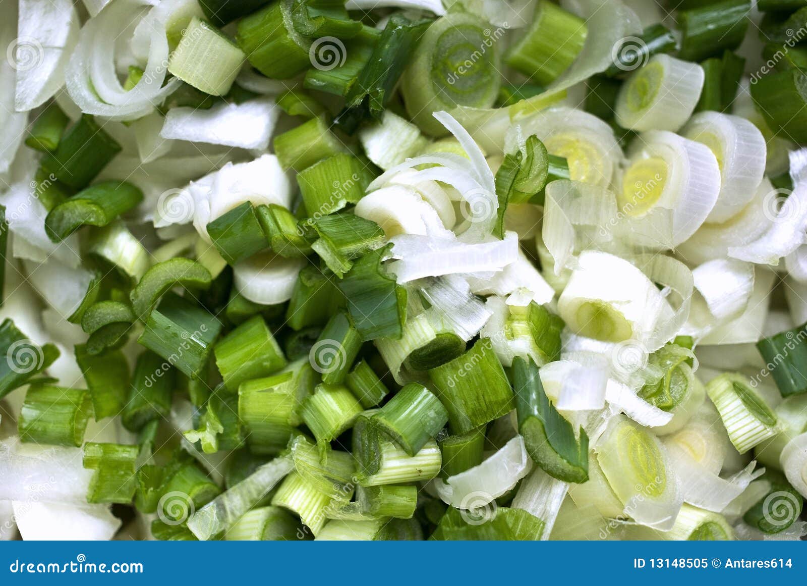 Spring onion stock image. Image of fresh, spring, preparing - 13148505