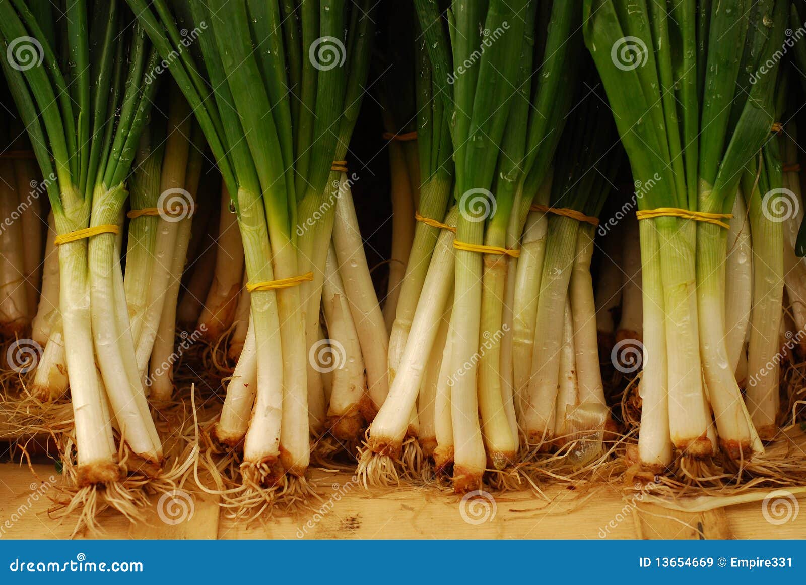 Spring onion stock image. Image of vegetable, spring - 13654669