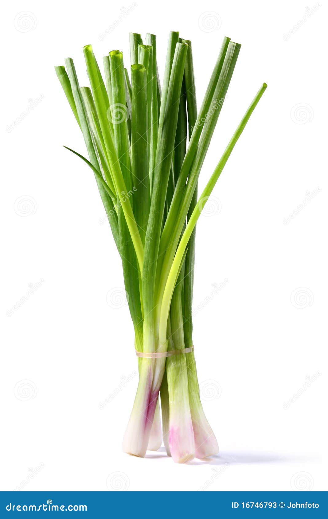 Spring Onion, Garlic With Ginger Royalty-Free Stock Photo ...
