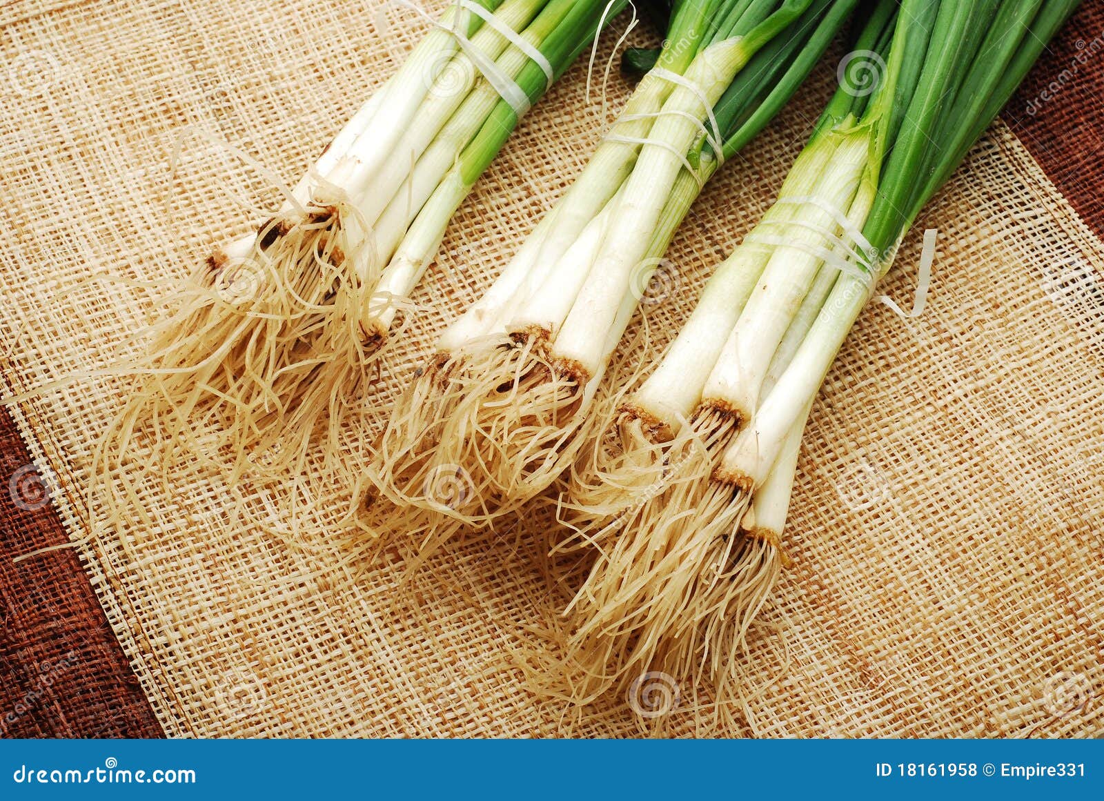 Spring onion stock photo. Image of spring, nutrition - 18161958
