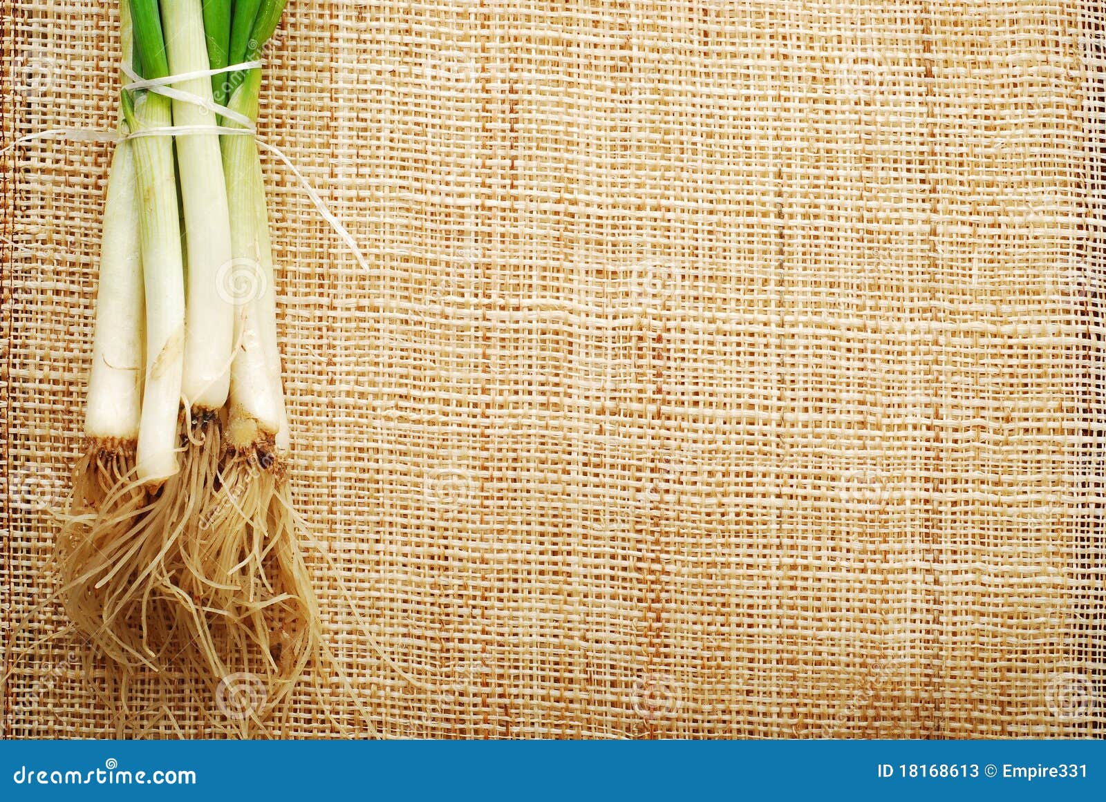 Spring onion stock image. Image of plants, spring, onions - 18168613