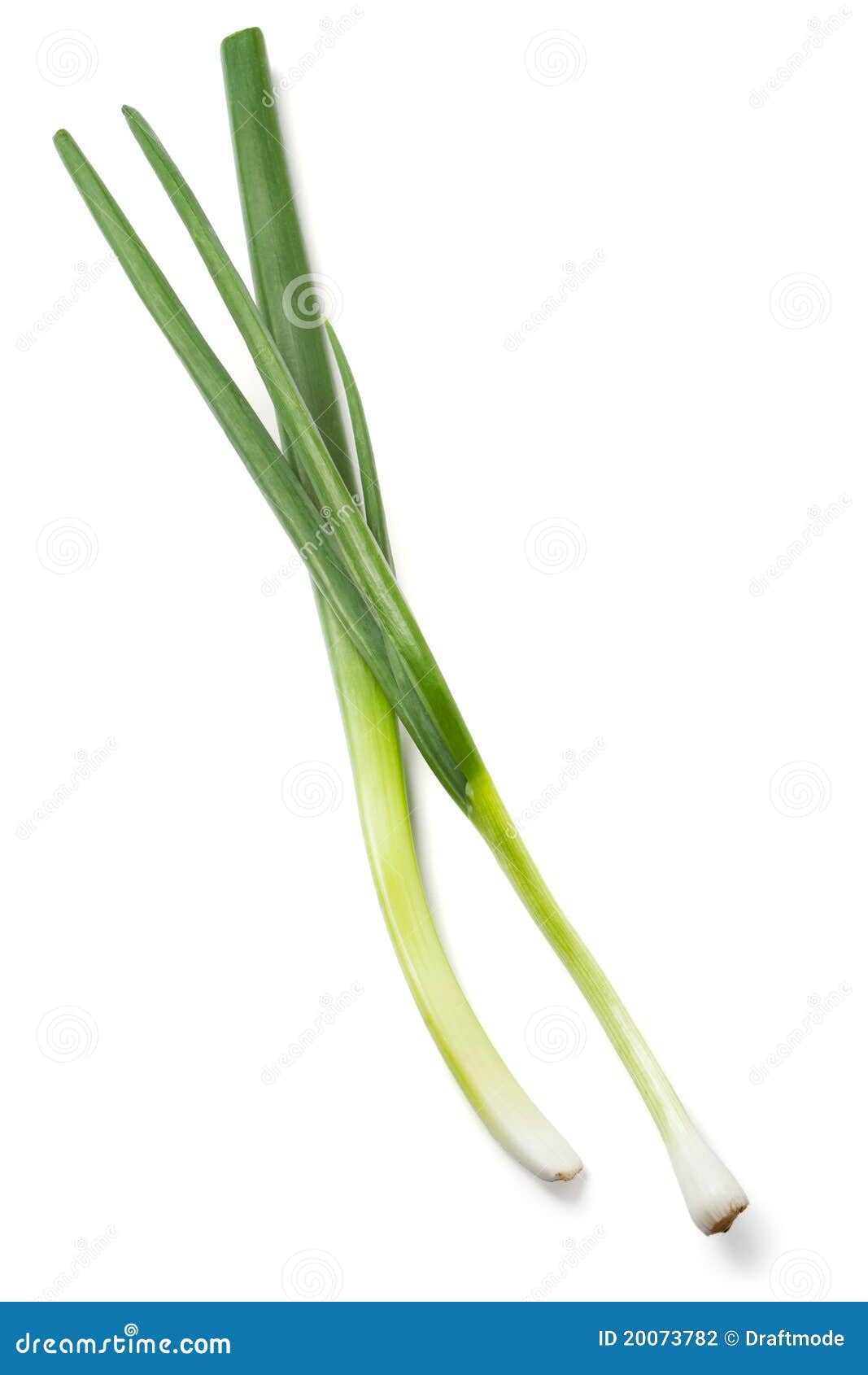 Spring onion stock photo. Image of roots, cuisine, spicy - 20073782