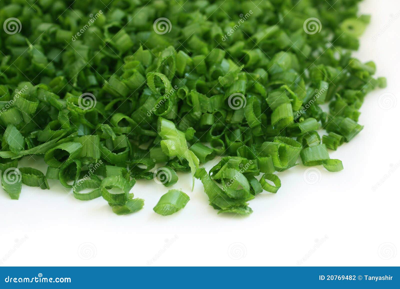 Spring onion stock photo. Image of salad, cutting, fresh - 20769482