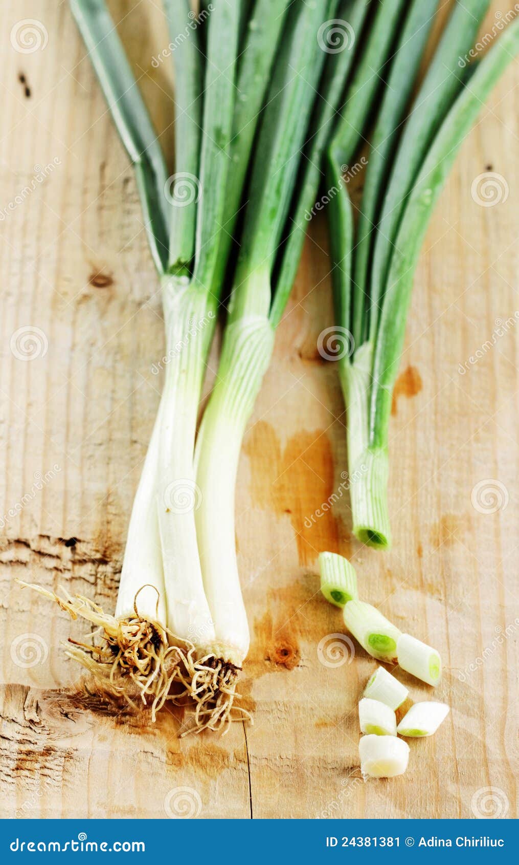 Spring onion stock image. Image of herb, flavor, garnish - 24381381