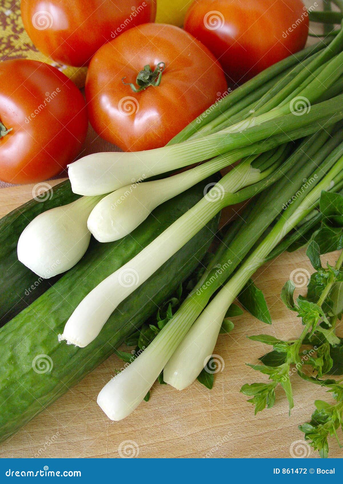Spring onion stock photo. Image of oregano, food, fresh - 861472