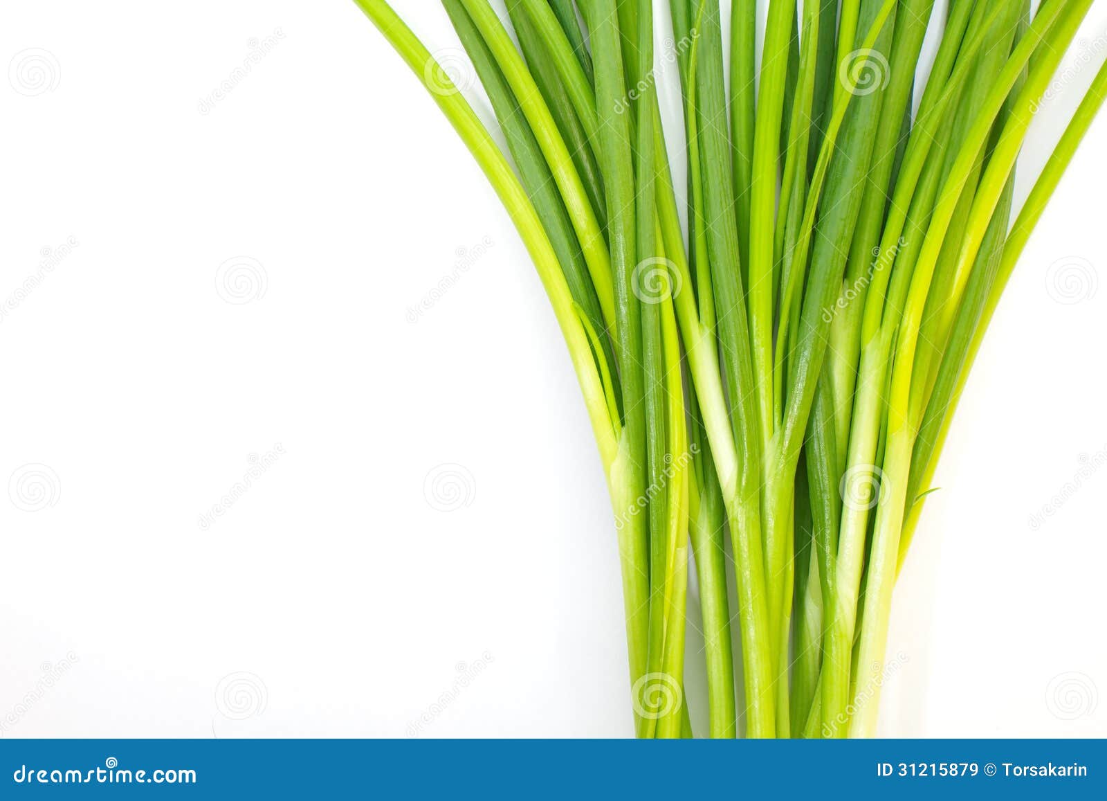Spring onion stock image. Image of bunch, healthy, gourmet - 31215879