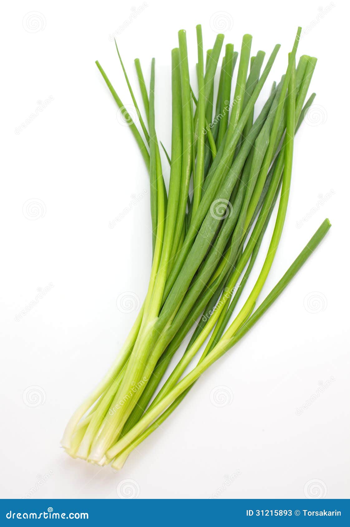 Spring onion stock image. Image of salad, spring, gourmet - 31215893