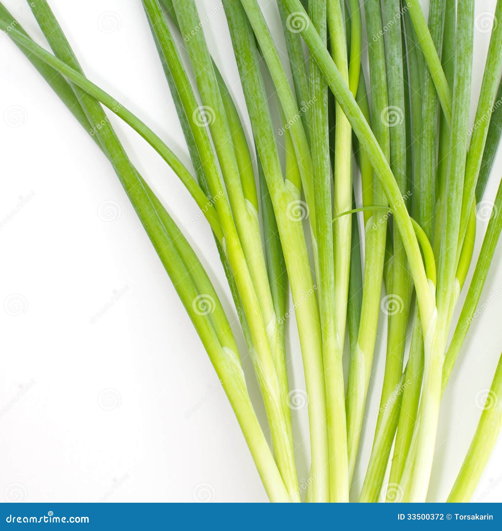 Spring onion stock photo. Image of green, nature, health - 33500372