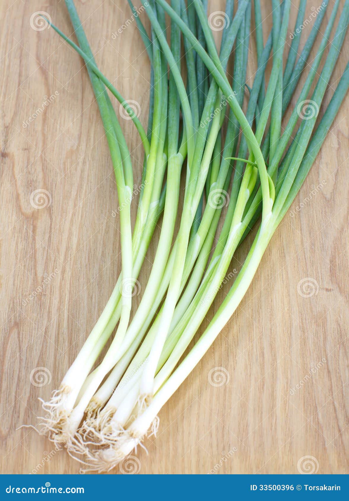 Spring onion stock photo. Image of natural, diet, onion - 33500396