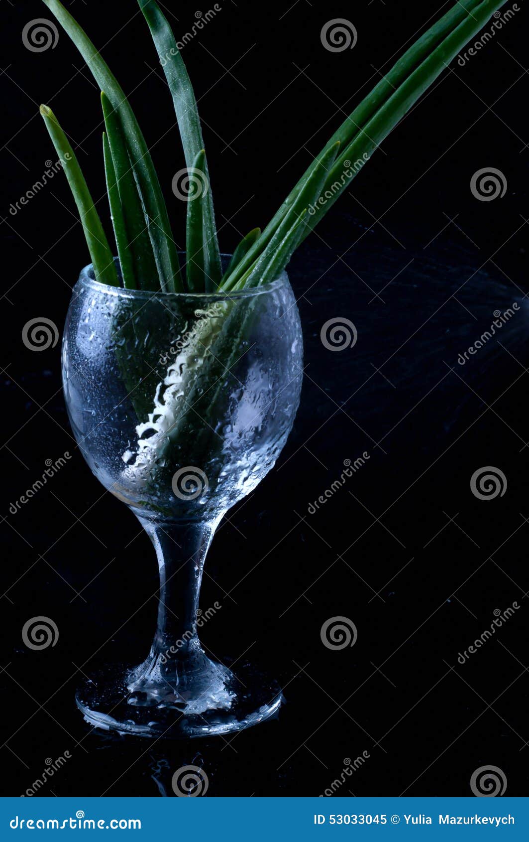 Spring onion with chives stock image. Image of onion - 53033045