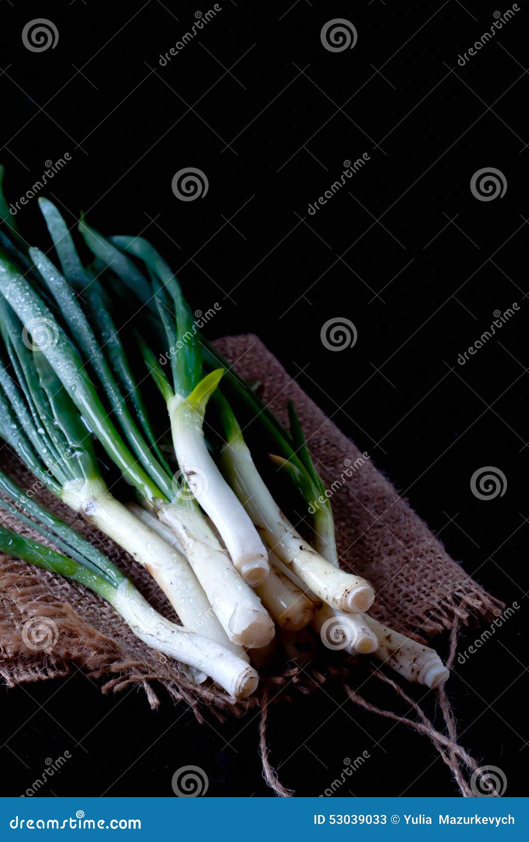 Spring onion with chives stock image. Image of vitamins - 53039033