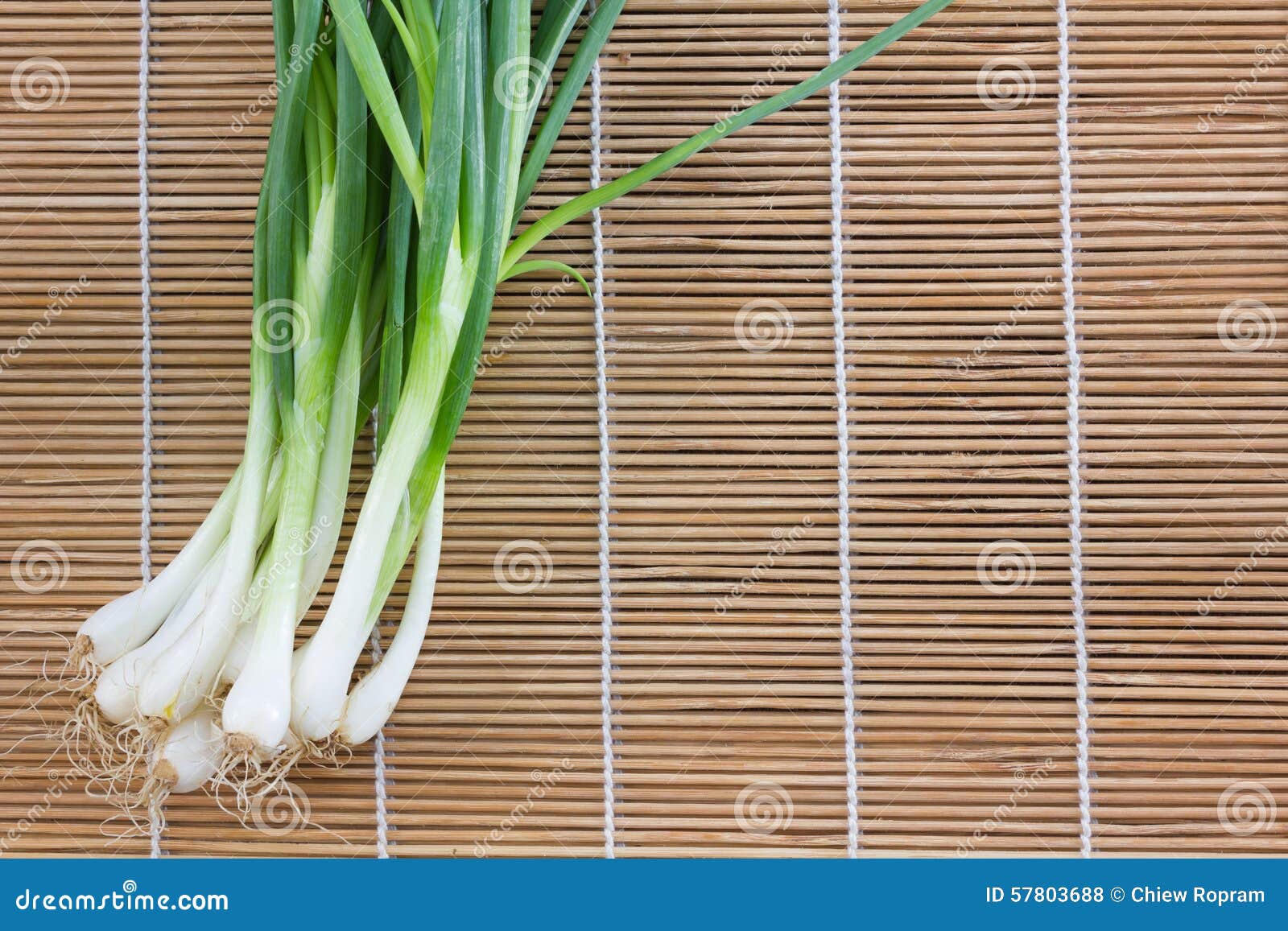 Spring onion stock photo. Image of bunch, rustic, fresh - 57803688