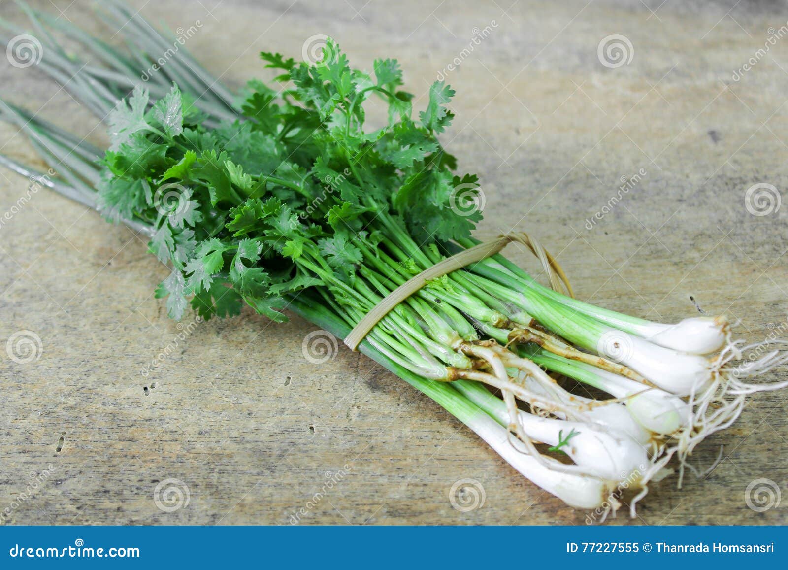 Spring Onion and coriander stock image. Image of wooden - 77227555