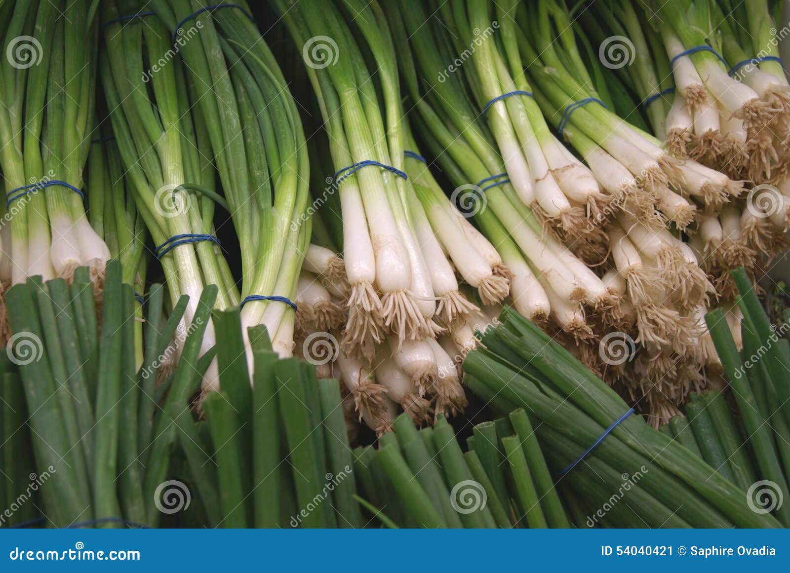 Spring onion stock image. Image of healthy, supermarket - 54040421