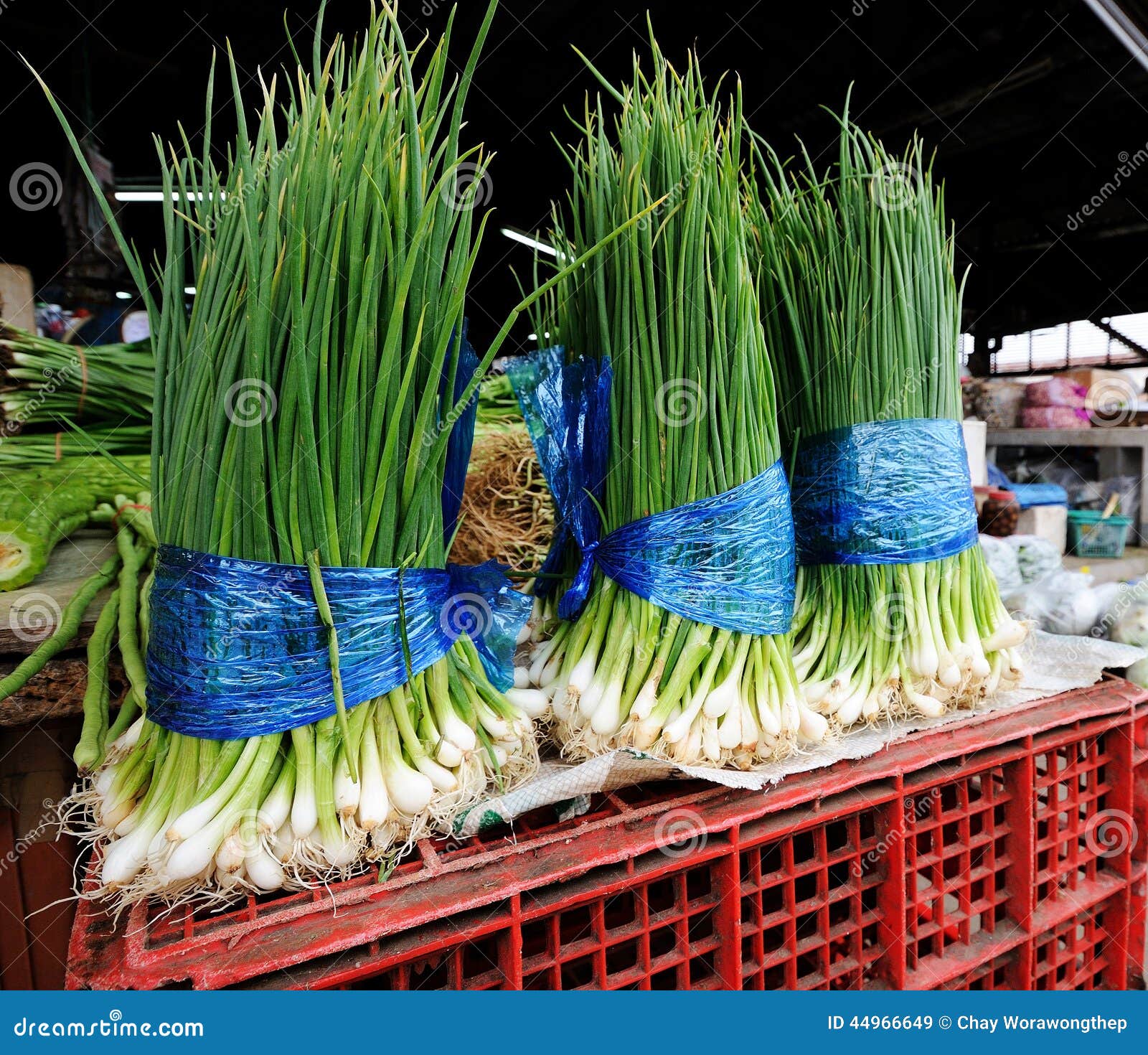Spring onion stock image. Image of vegetarian, market - 44966649