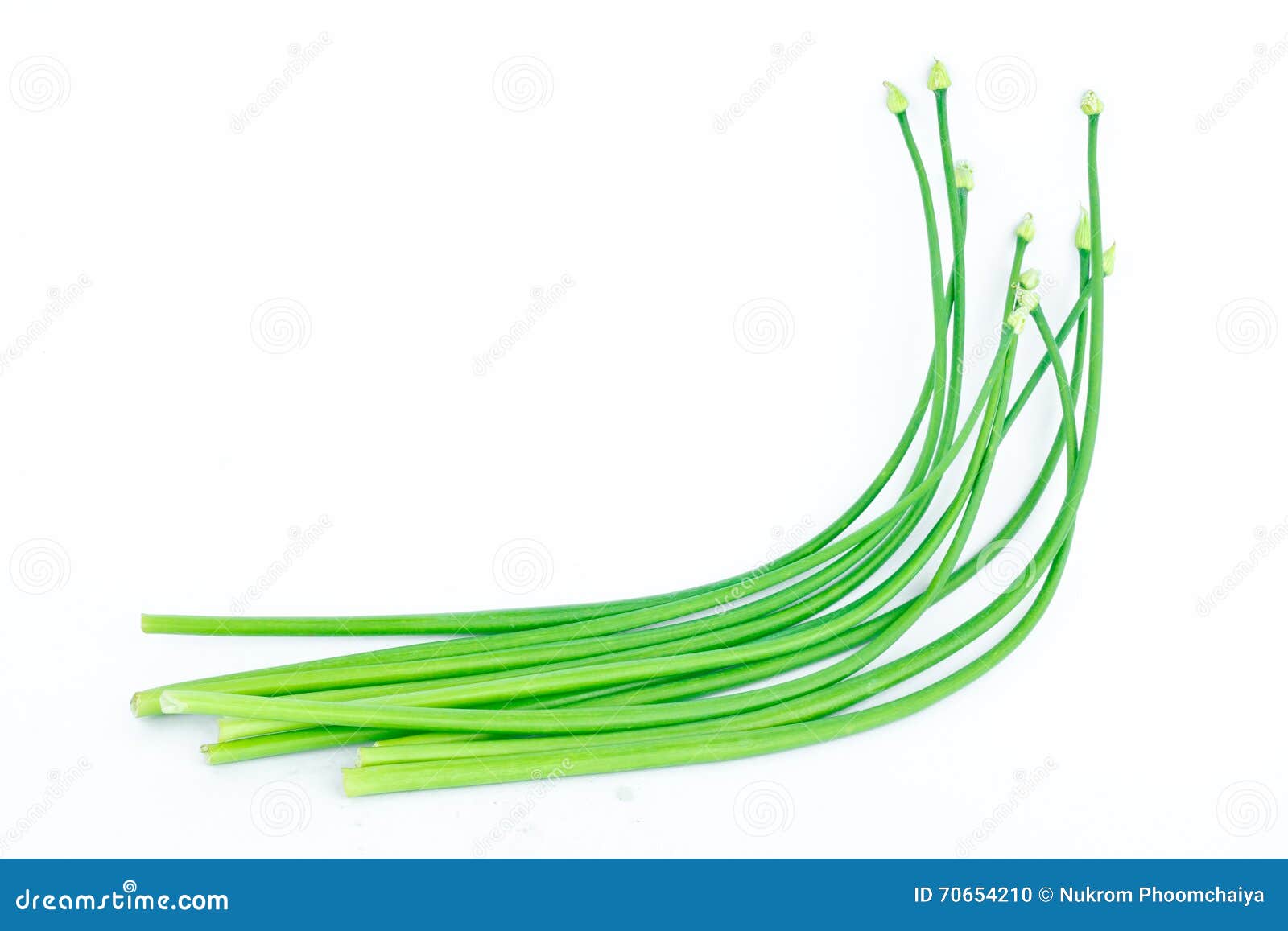 Spring Onion or Green Shallot is Vegetables and Herbs Stock Photo ...
