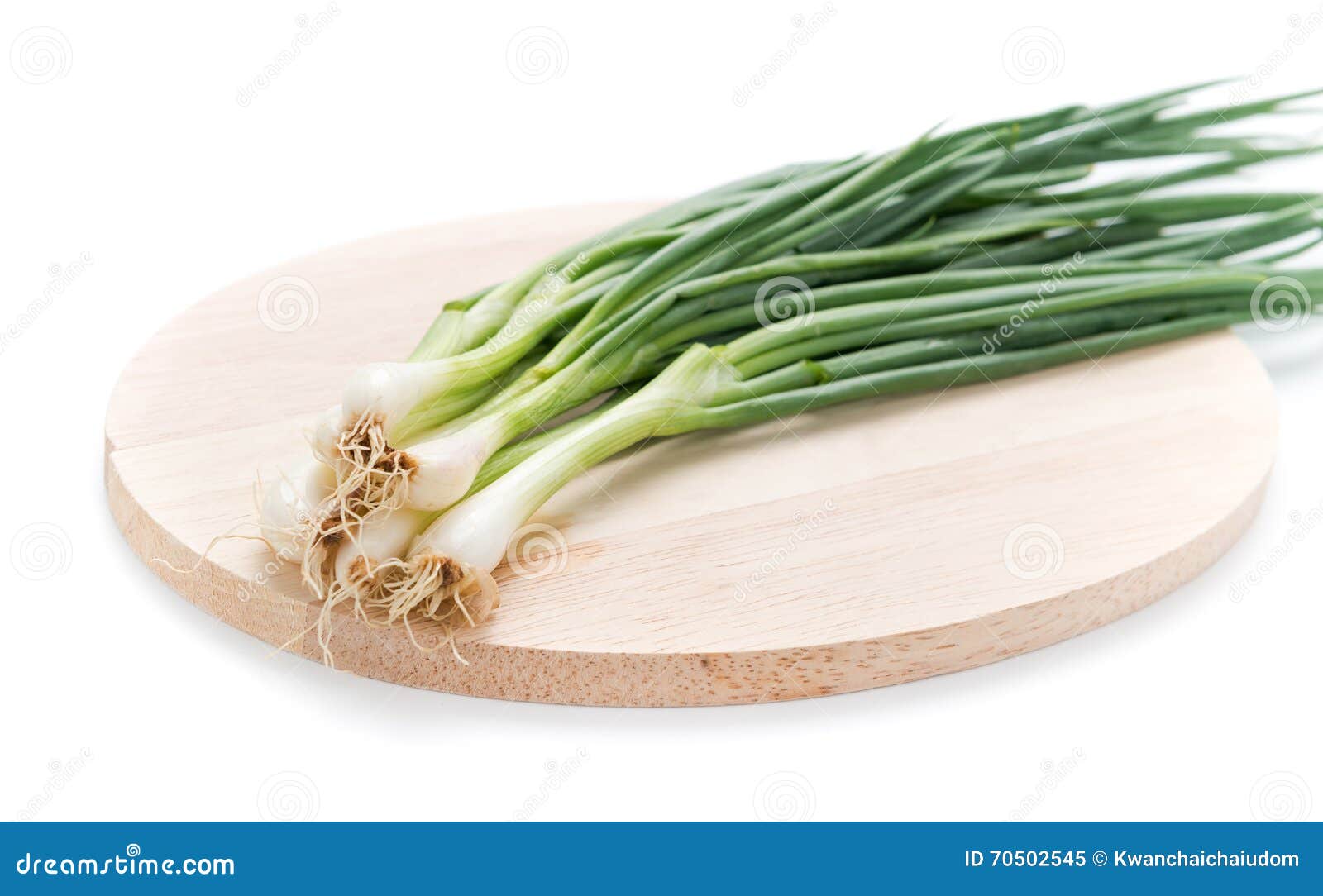 Spring onion isolated stock image. Image of taste, block - 70502545