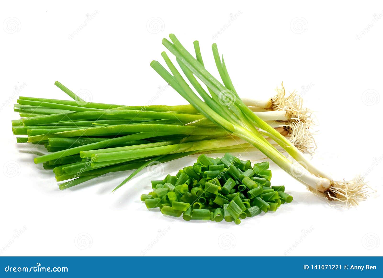Spring Onion Isolated on White Background Stock Image - Image of ...