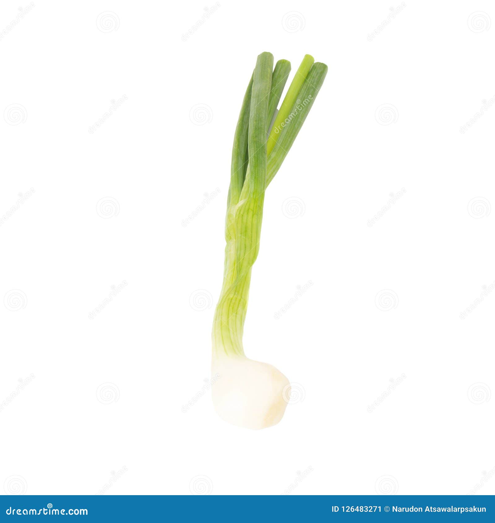 Spring Onion Isolated on White Background Stock Image - Image of ...