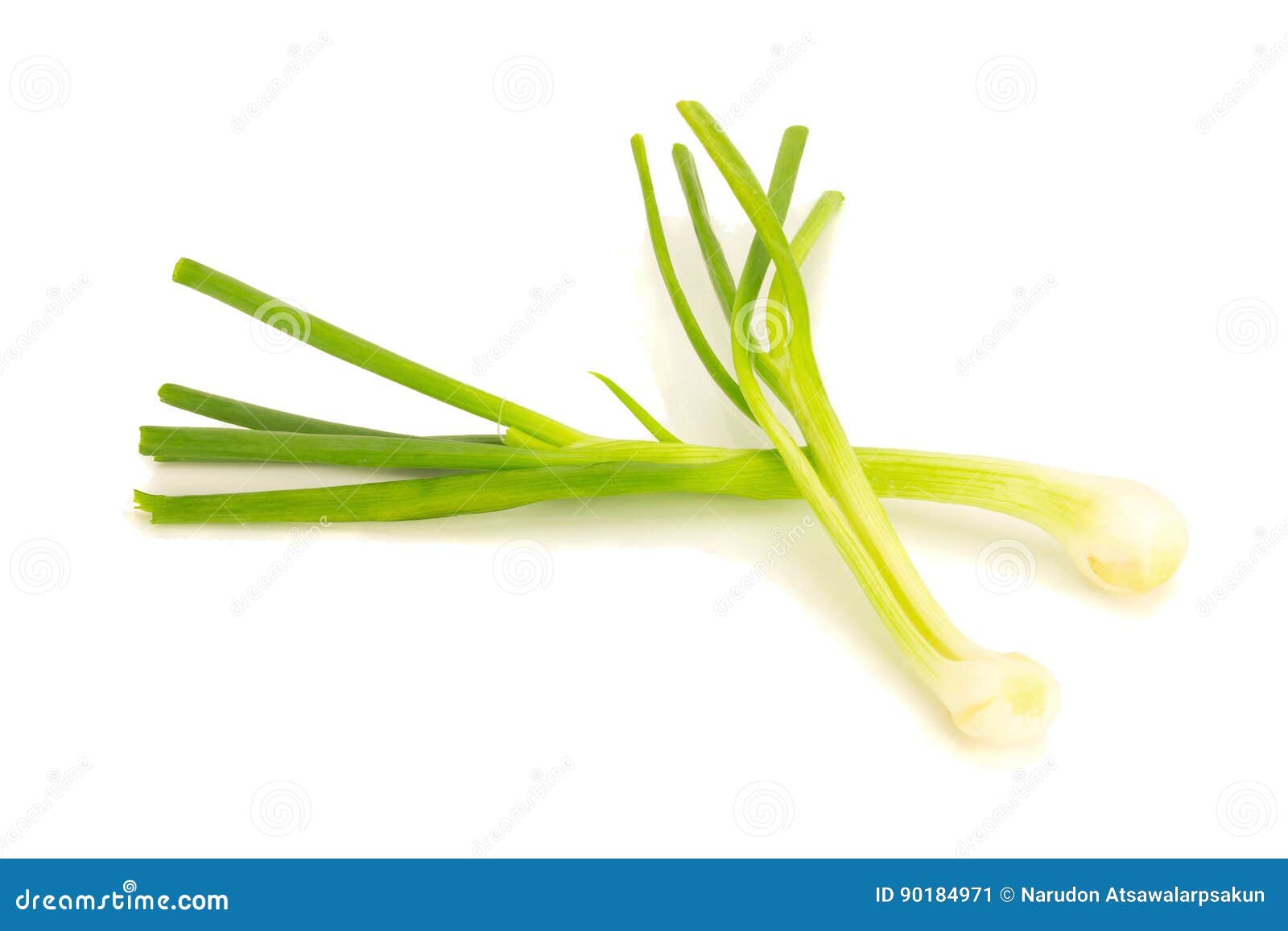 Spring Onion Isolated on the White Background Stock Image - Image of ...