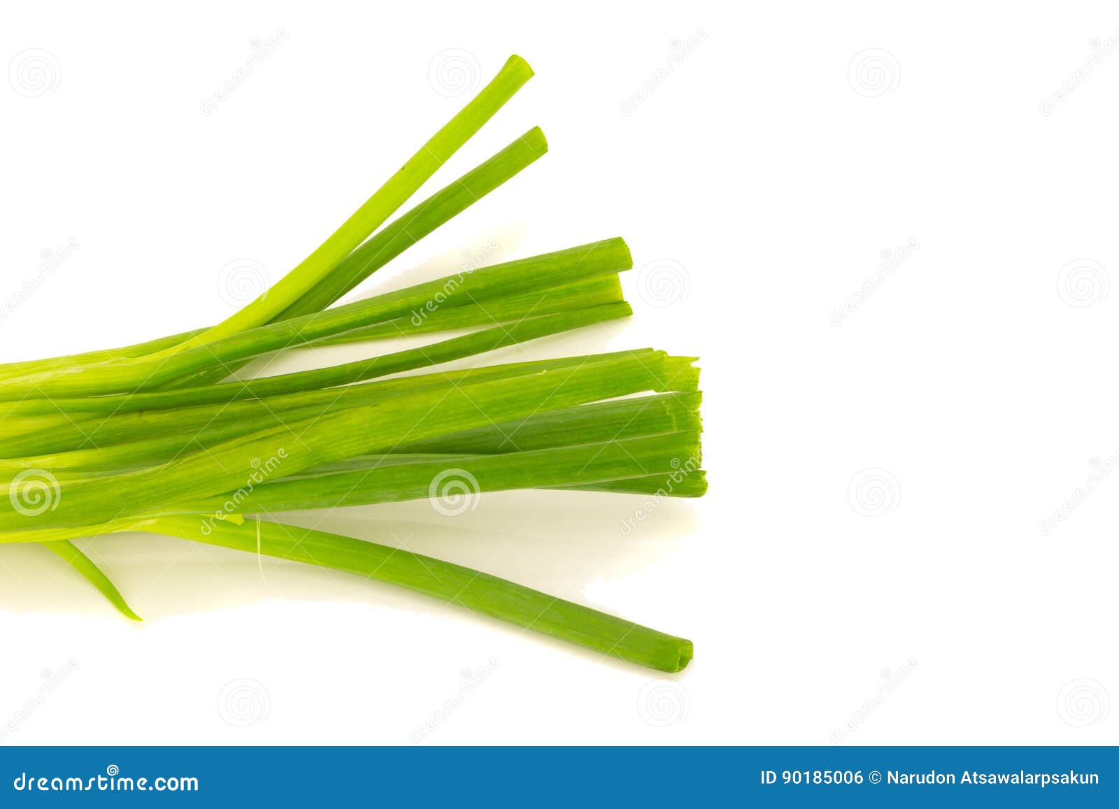 Spring Onion Isolated on the White Background Stock Photo - Image of ...