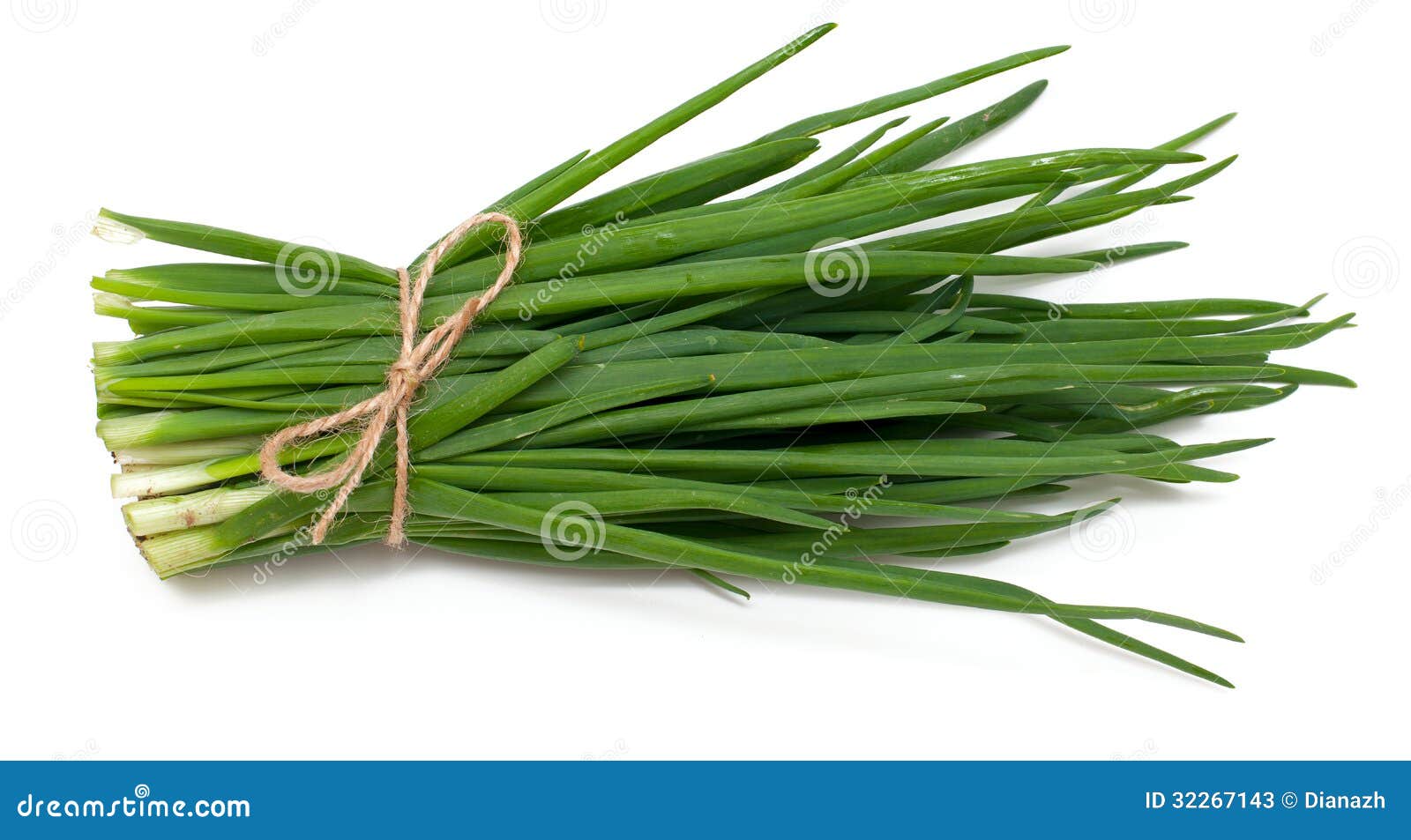 Spring Onion Isolated on White Background Stock Image - Image of object ...