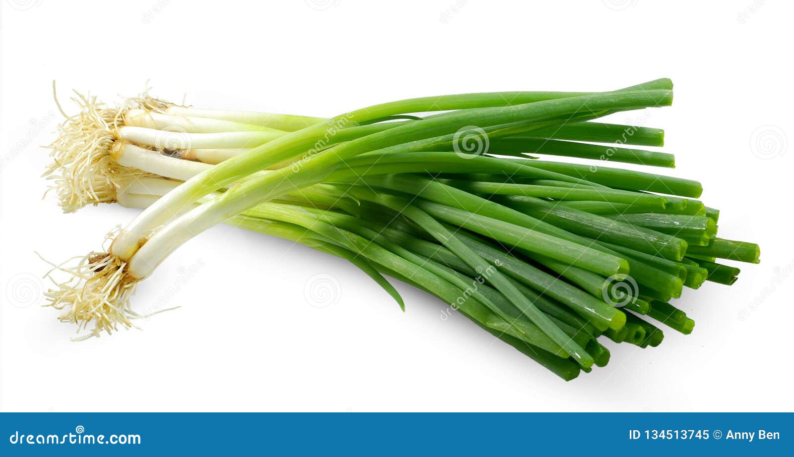 Spring Onion Isolated on White Stock Image - Image of spring, gourmet ...