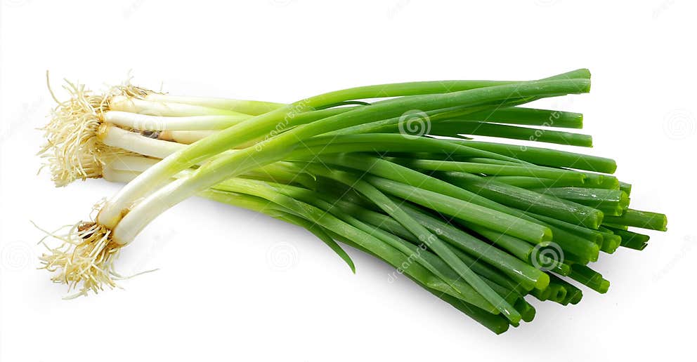 Spring Onion Isolated on White Stock Image - Image of spring, gourmet ...