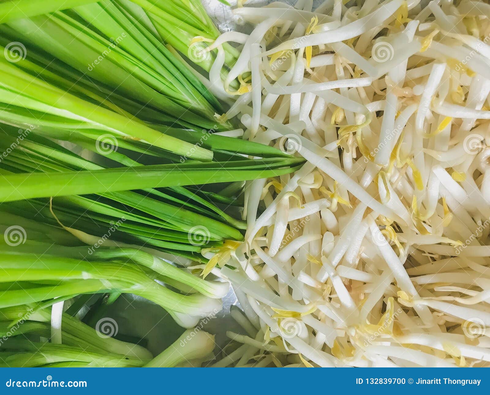 Spring onion and sprouts stock photo. Image of nutrition - 132839700
