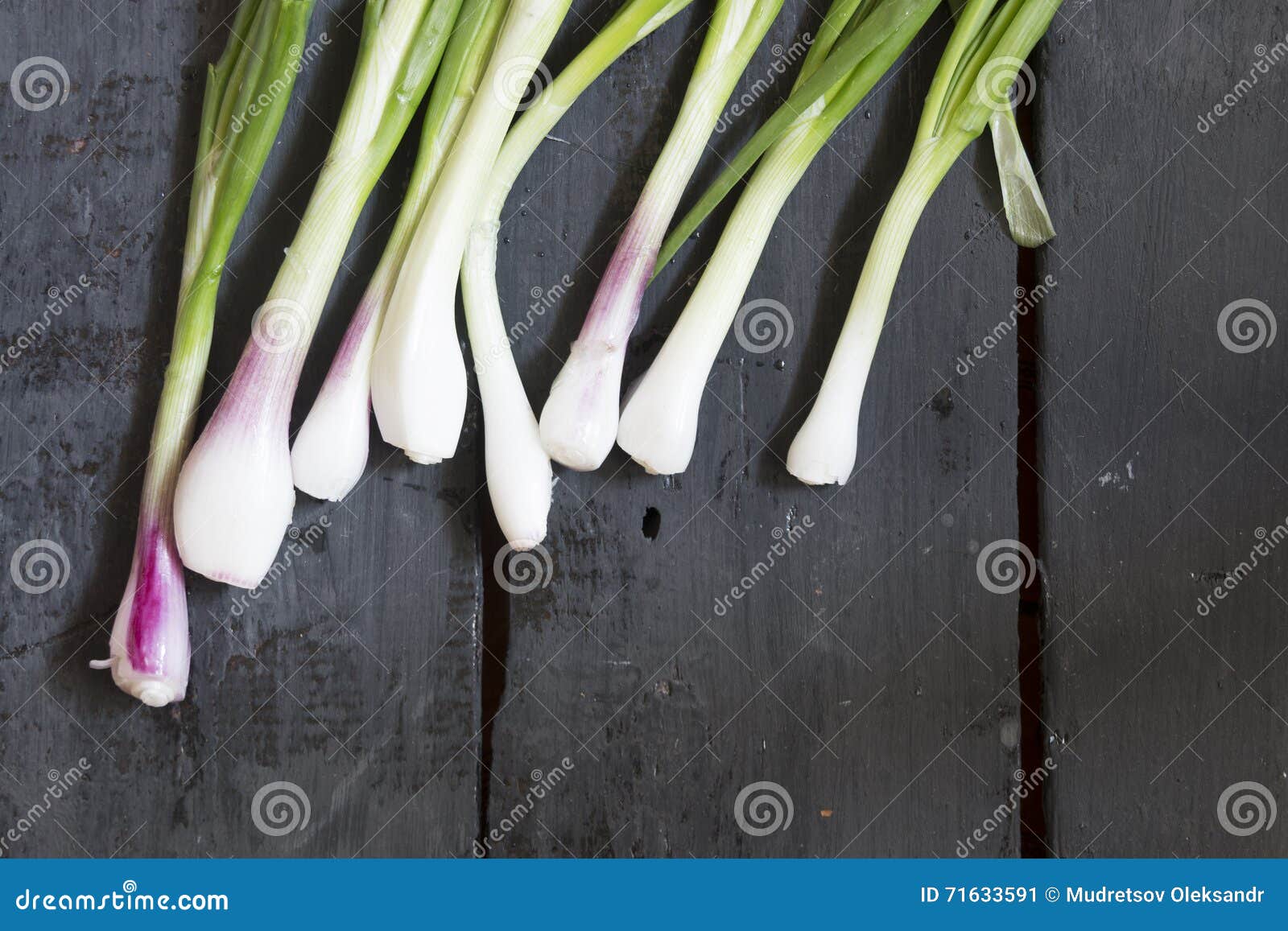 Spring onion on the table stock image. Image of condiment - 71633591