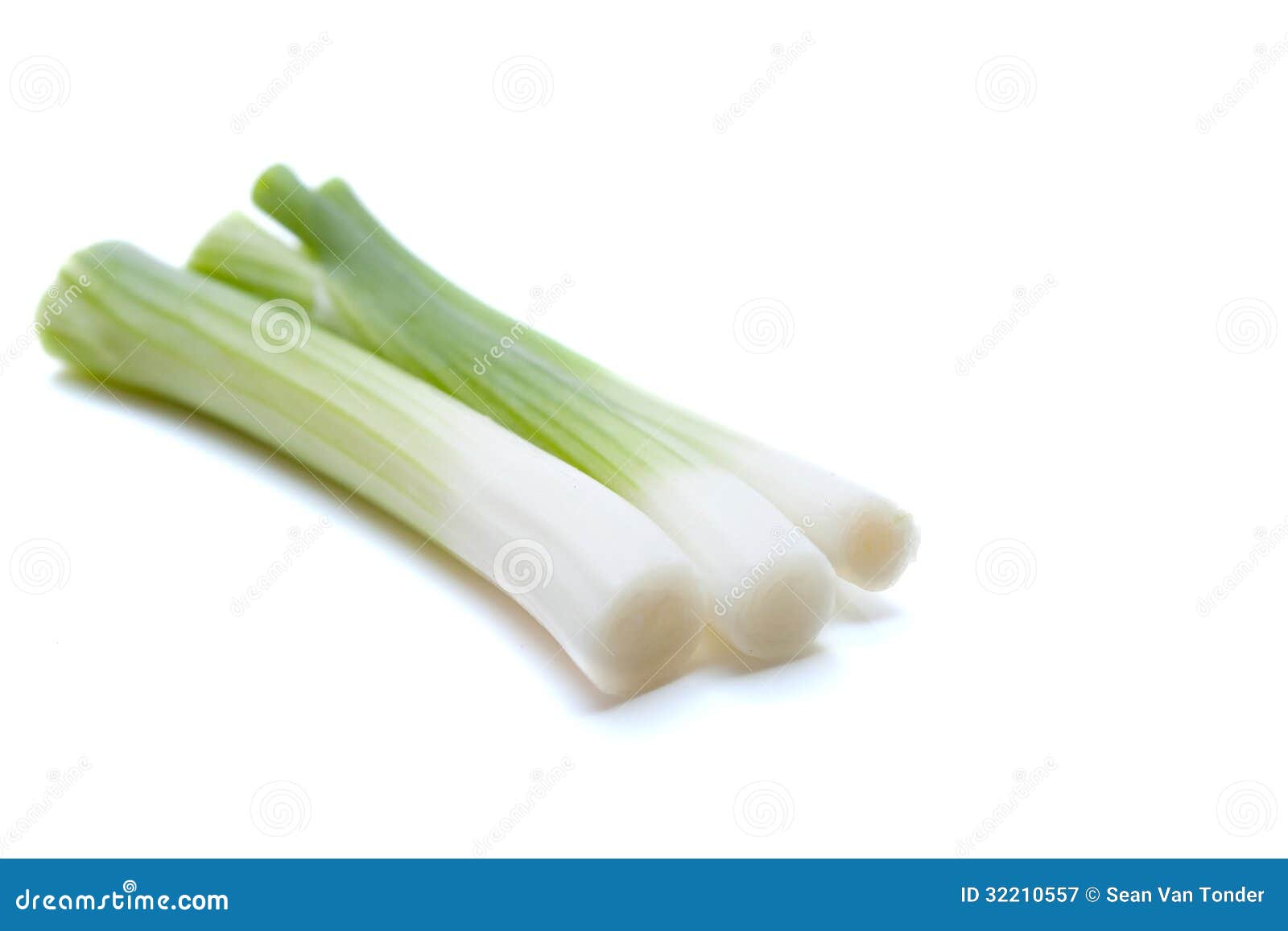 Spring onion stock image. Image of sliced, white, food - 32210557