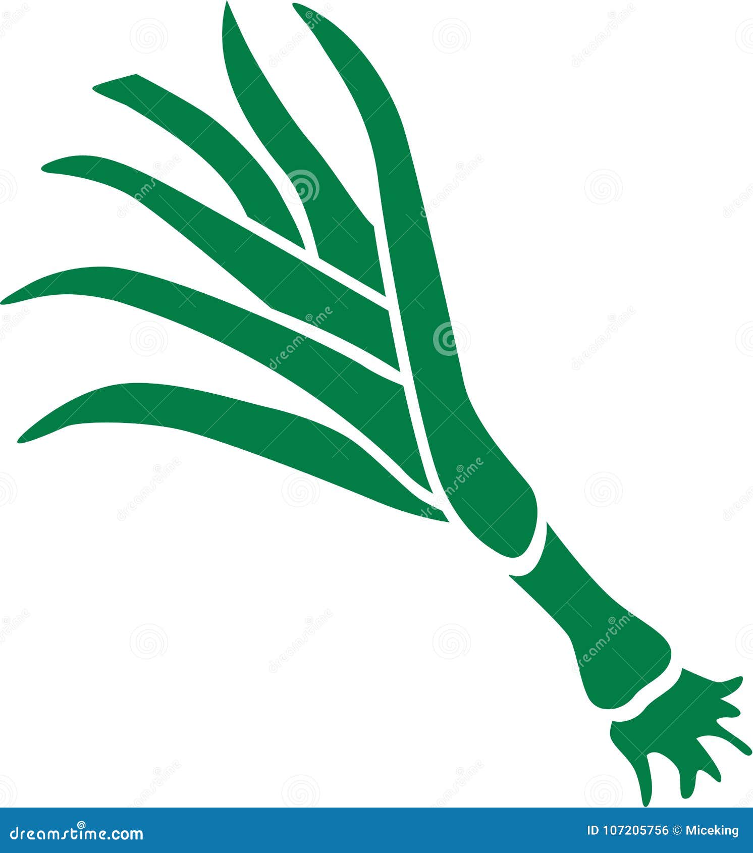 Spring onion vegetable stock vector. Illustration of symbol - 107205756