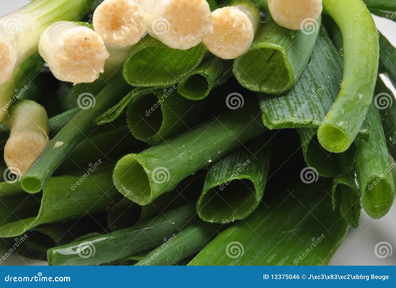 Spring Onion on a White Background Stock Photo - Image of health ...