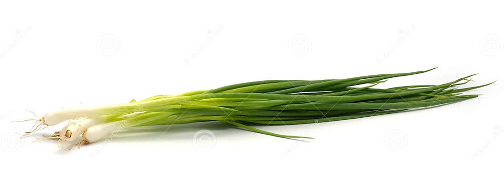 Spring Onion on White Background. Stock Photo - Image of natural ...