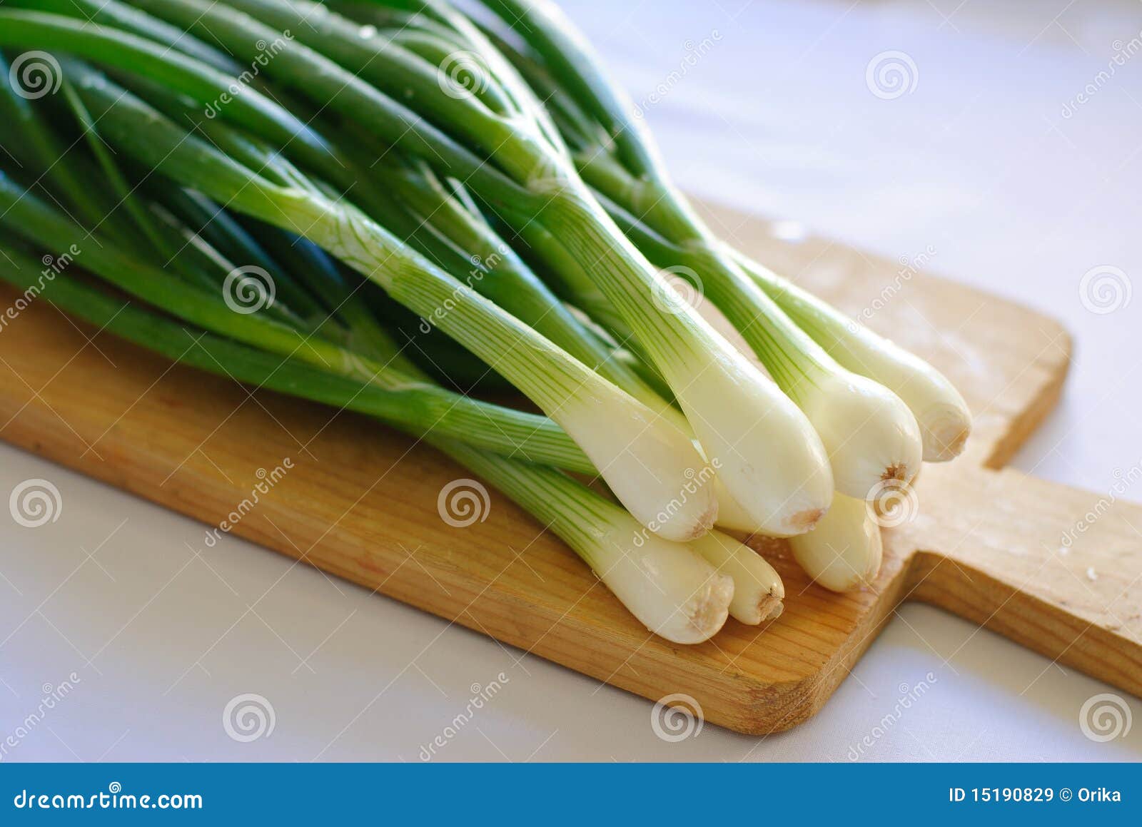 Spring onions stock image. Image of groceries, organic - 15190829
