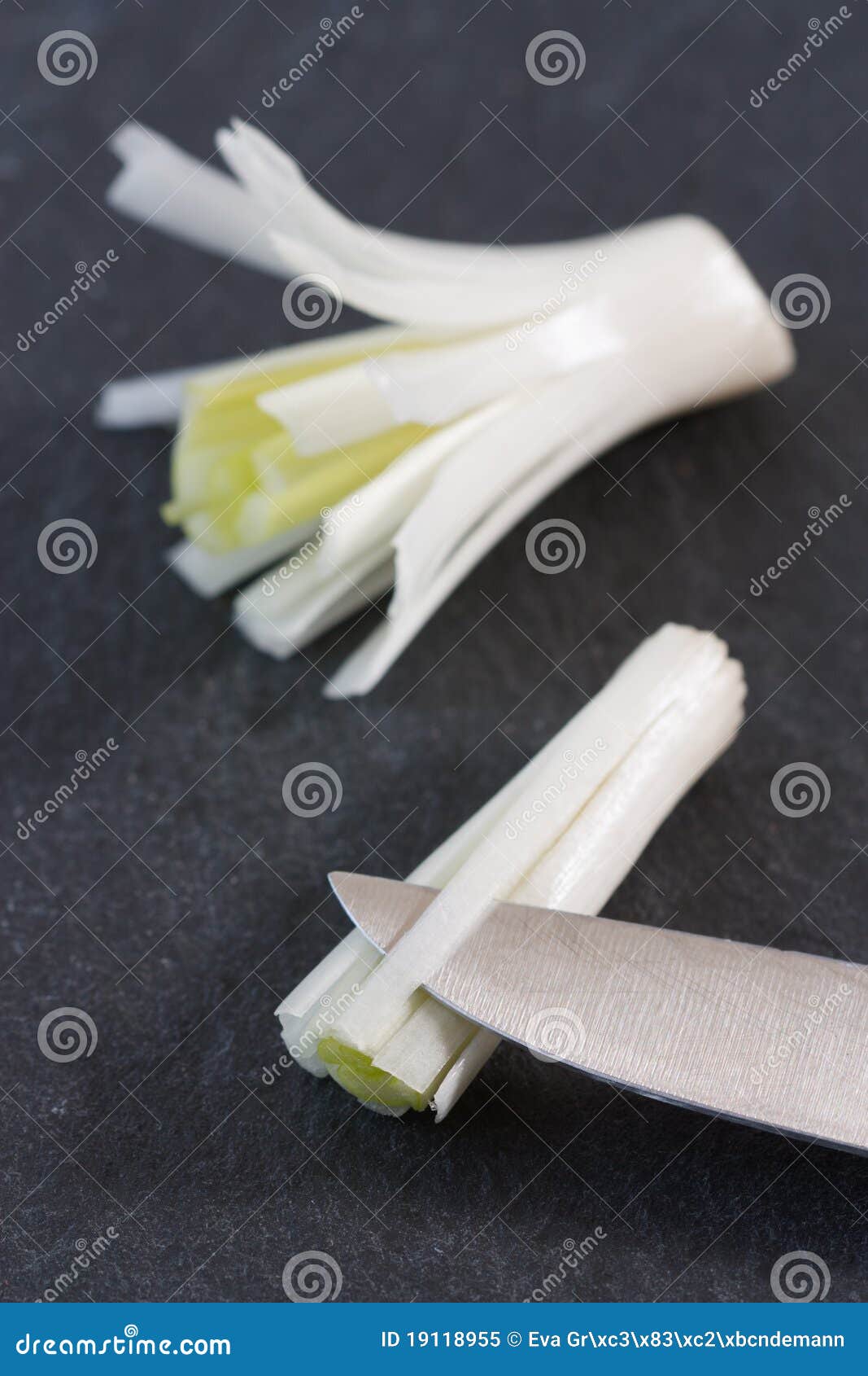 Spring Onions stock image. Image of food, scallions, onion - 19118955